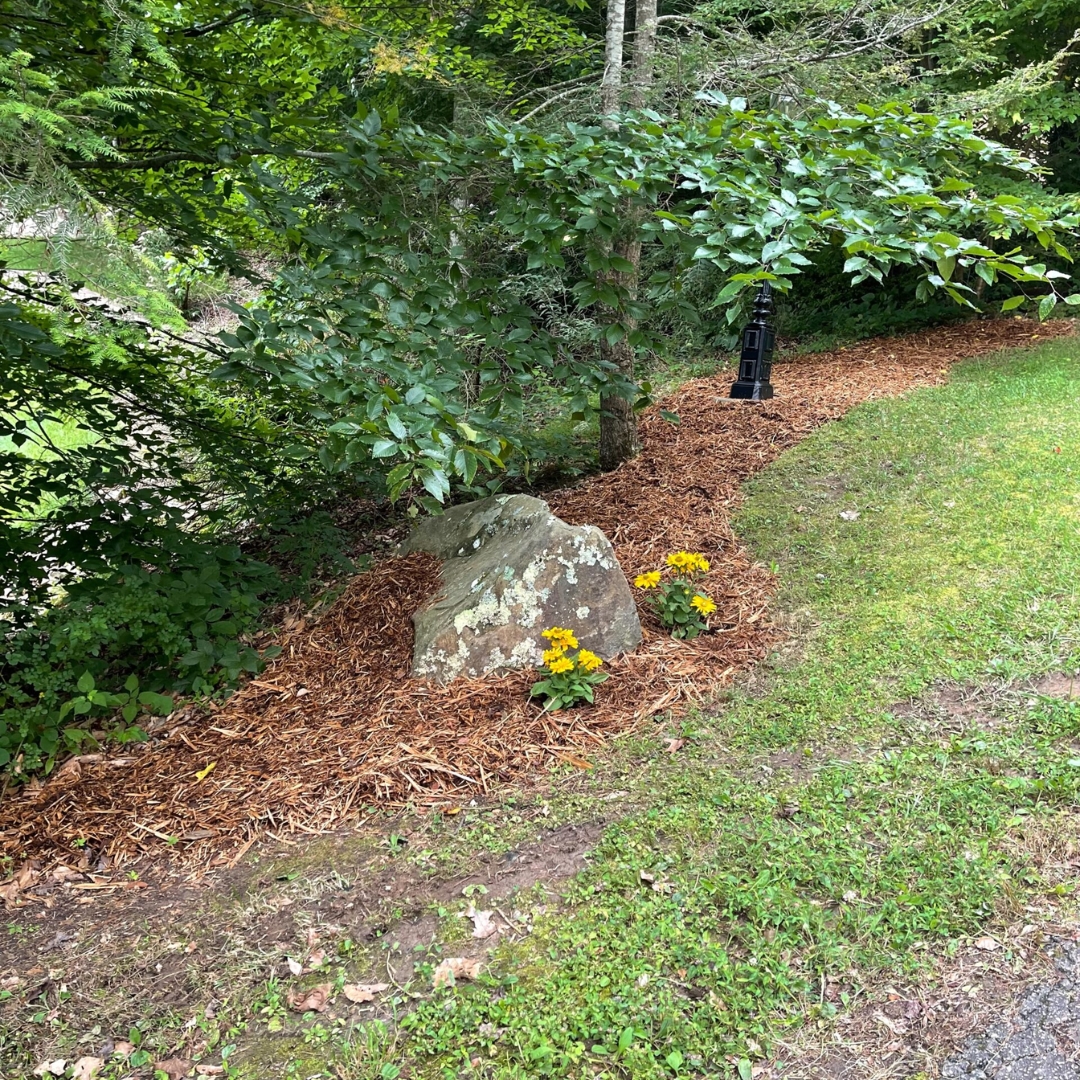 Elevate Your Outdoor Oasis With Expert Landscaping